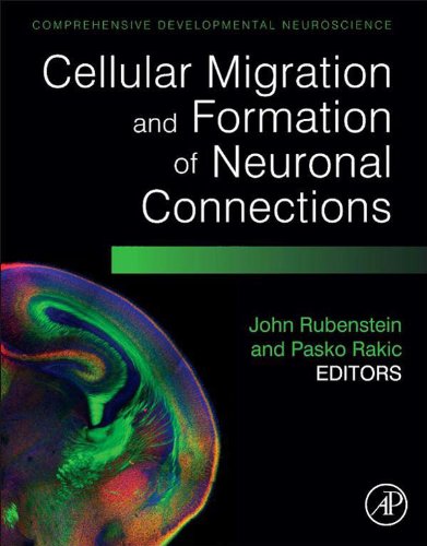 Cellular Migration and Formation of Neuronal Connections: Comprehensive Developmental ...