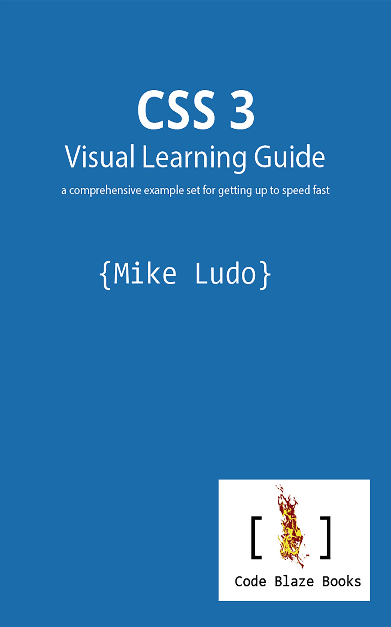 CSS 3 Visual Learning Guide: a comprehensive example set for getting up to speed fast – PDF/EPUB ...